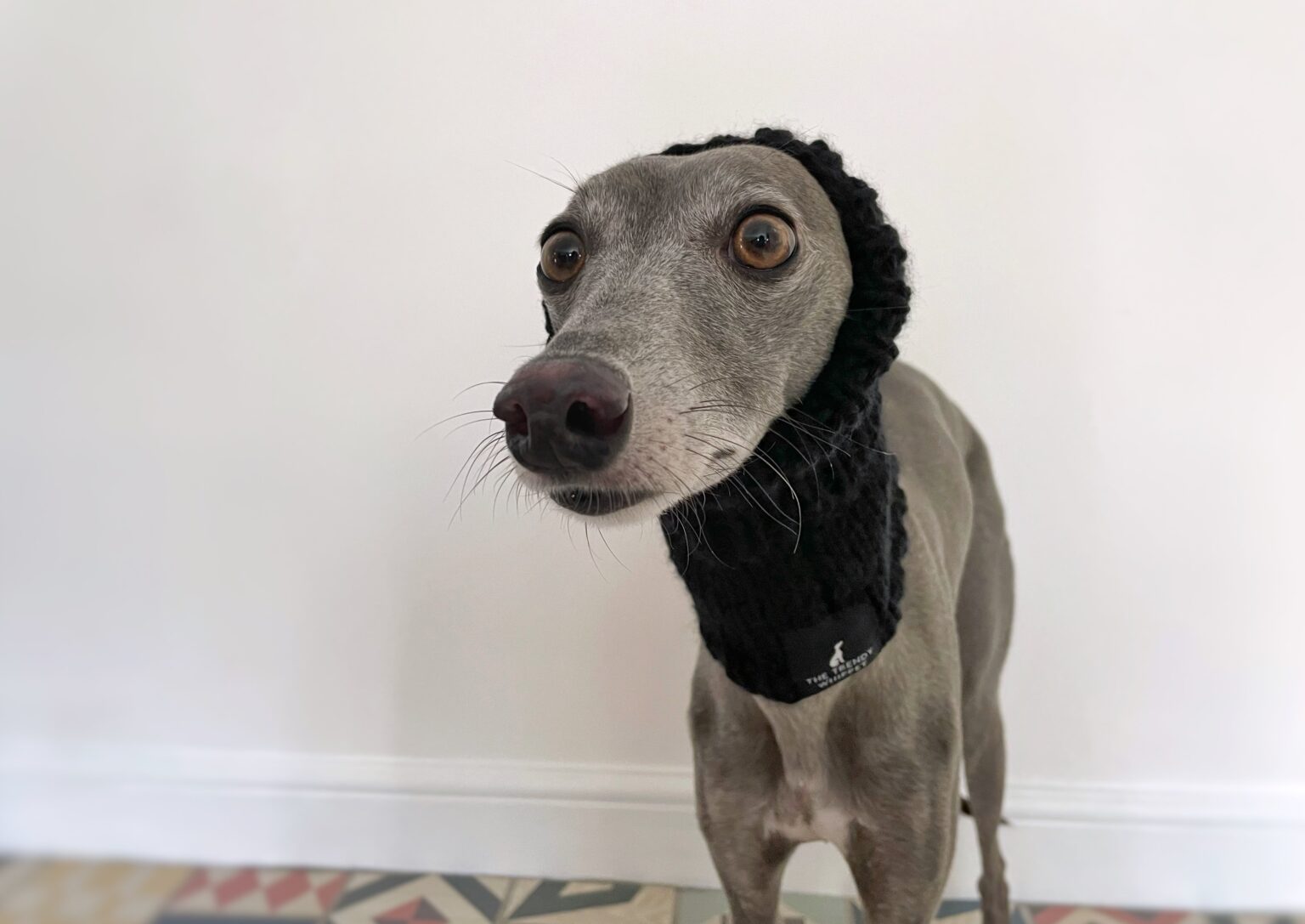 Black Knit Whippet Greyhound Snood Neck Warmer |Italian Lurcher