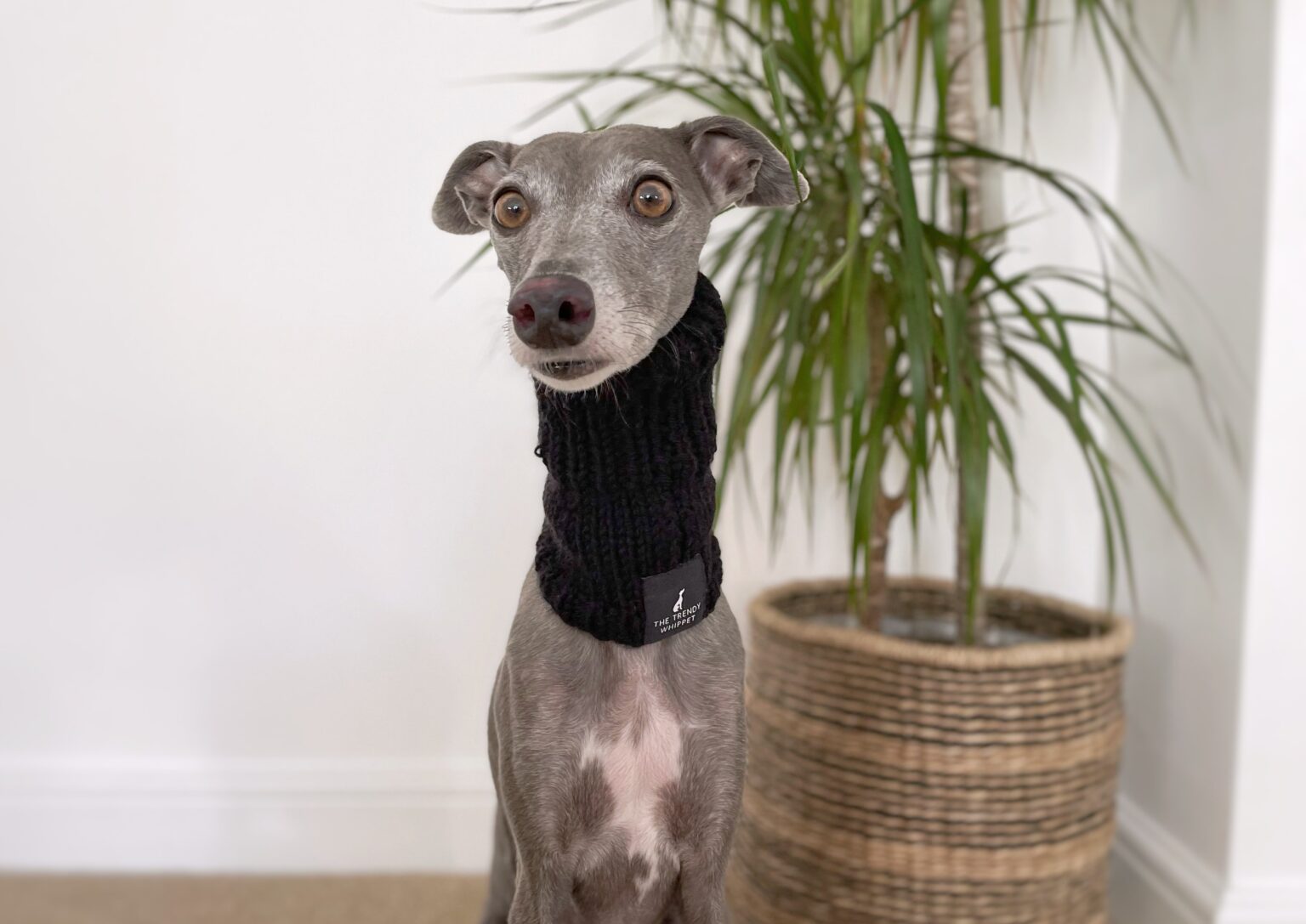 Black Knit Whippet Greyhound Snood Neck Warmer |Italian Lurcher