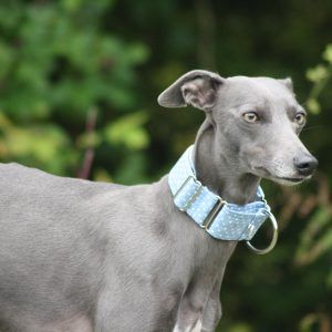 Grey Fluffy Fleece Jumper Whippet Greyhound Italian Sighthound