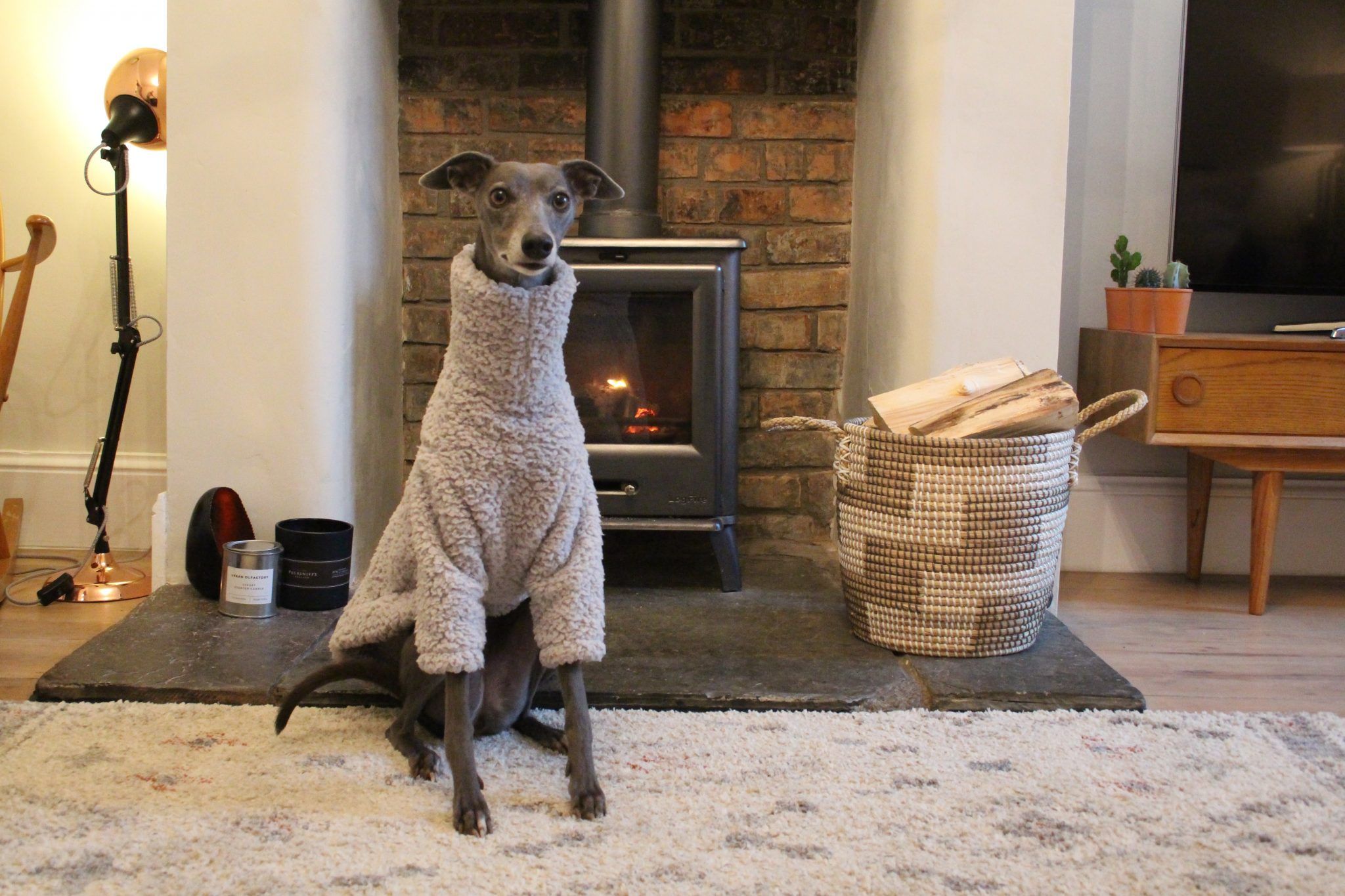 Grey Fluffy Fleece Whippet Jumper | Greyhound Italian Lurcher