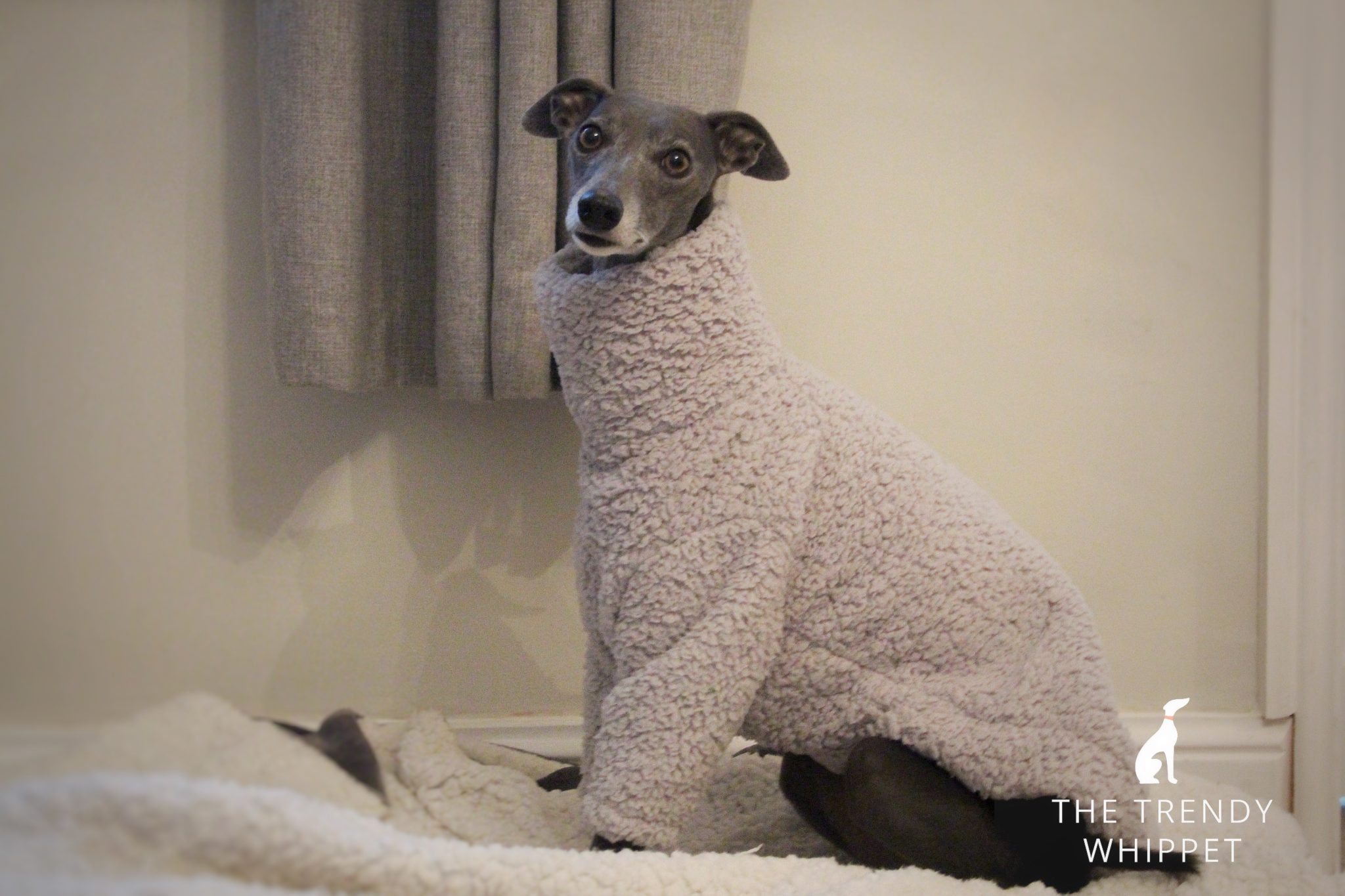 Grey Fluffy Fleece Whippet Jumper | Greyhound Italian Lurcher