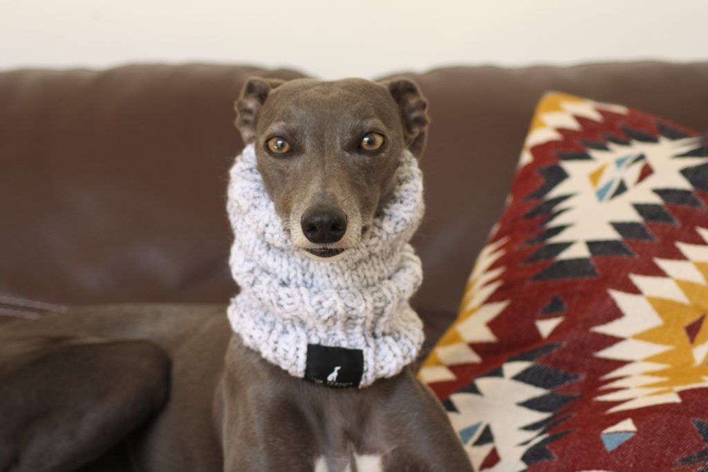 Grey Knit Whippet Greyhound Neck Warmer Snood | Italian Lurcher