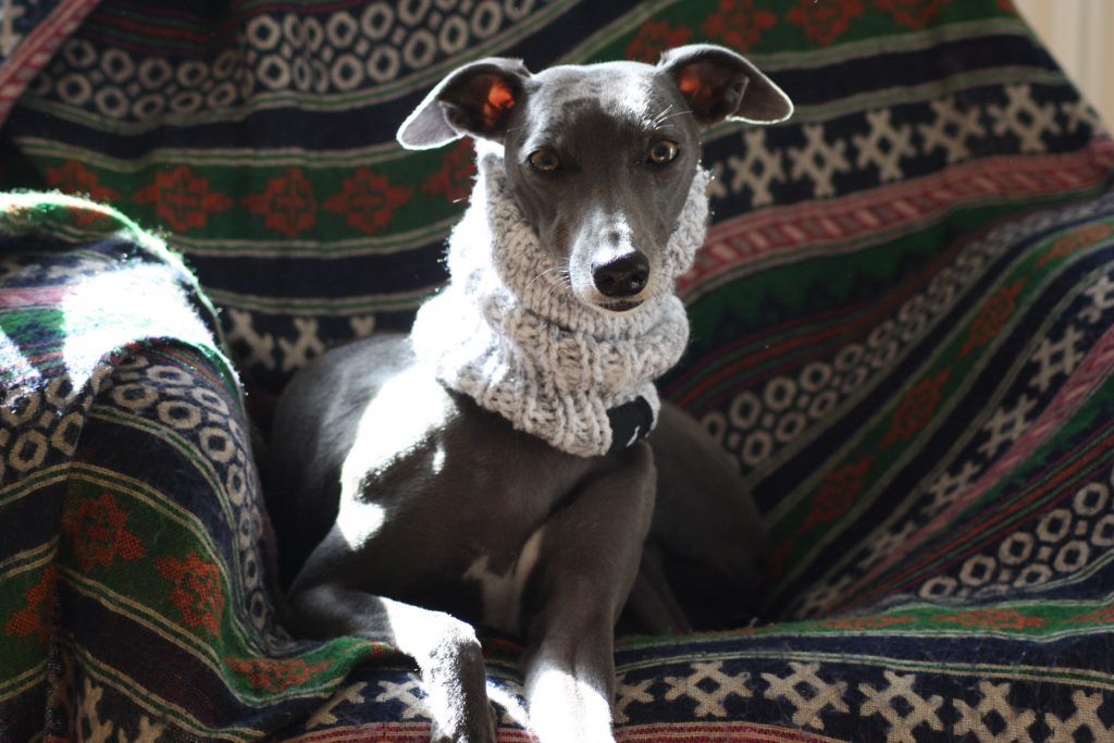 Grey Knit Whippet Greyhound Neck Warmer Snood | Italian Lurcher
