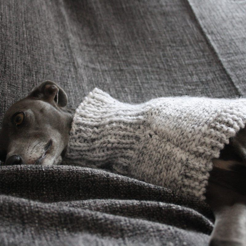 Hand Knitted Chunky Grey Sweater Jumper Whippet, Greyhound, Italian Lurcher