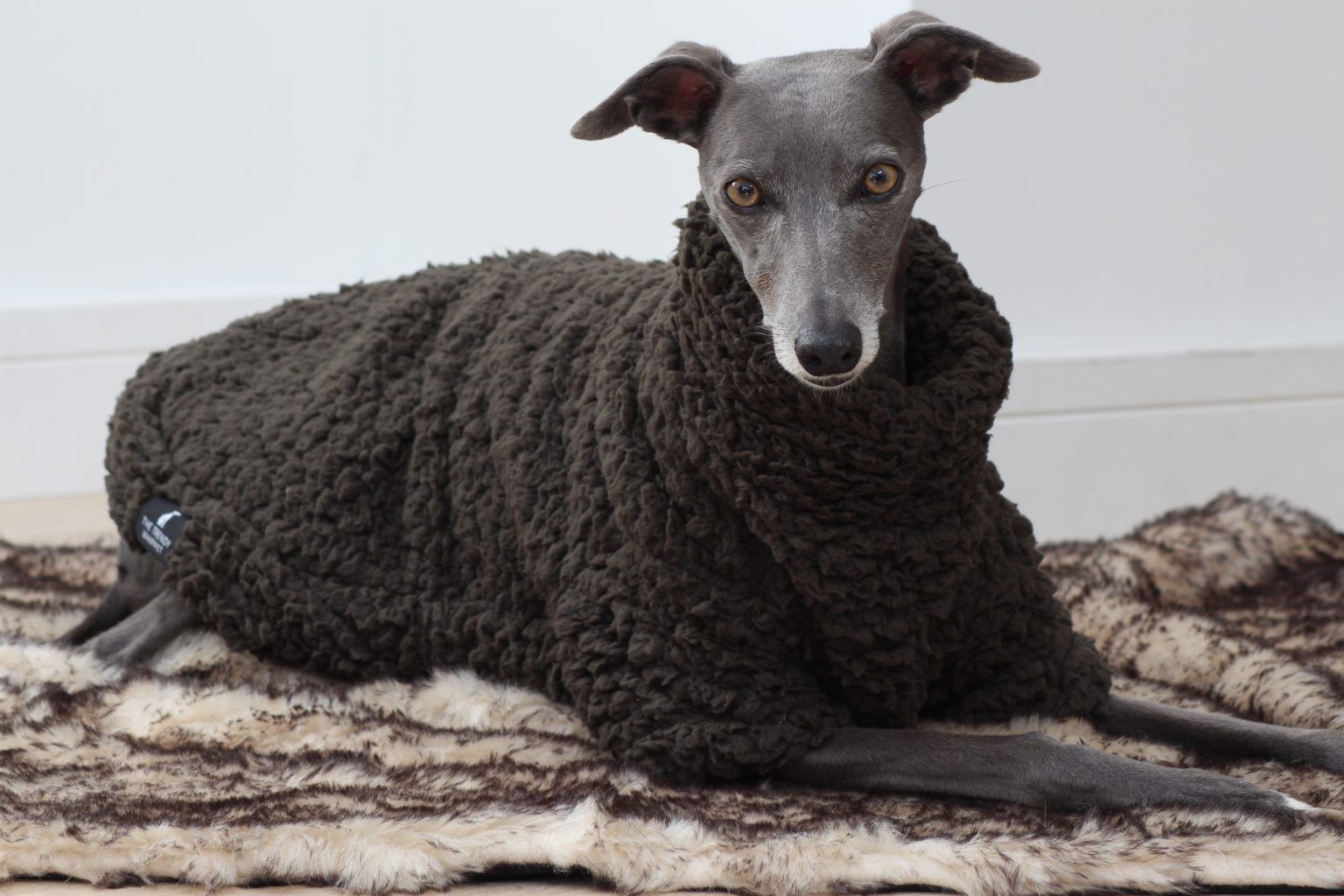 Khaki Green Fluffy Fleece Whippet Greyhound Jumper | Italian Lurcher
