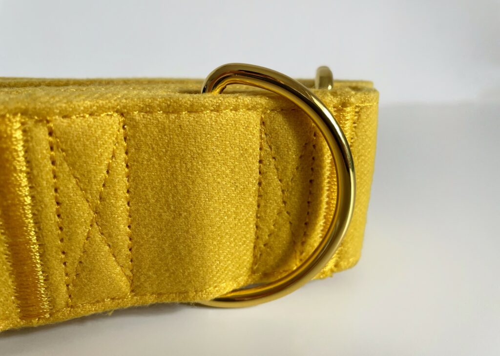Yellow Martingale Whippet Greyhound Collar | Italian Lurcher
