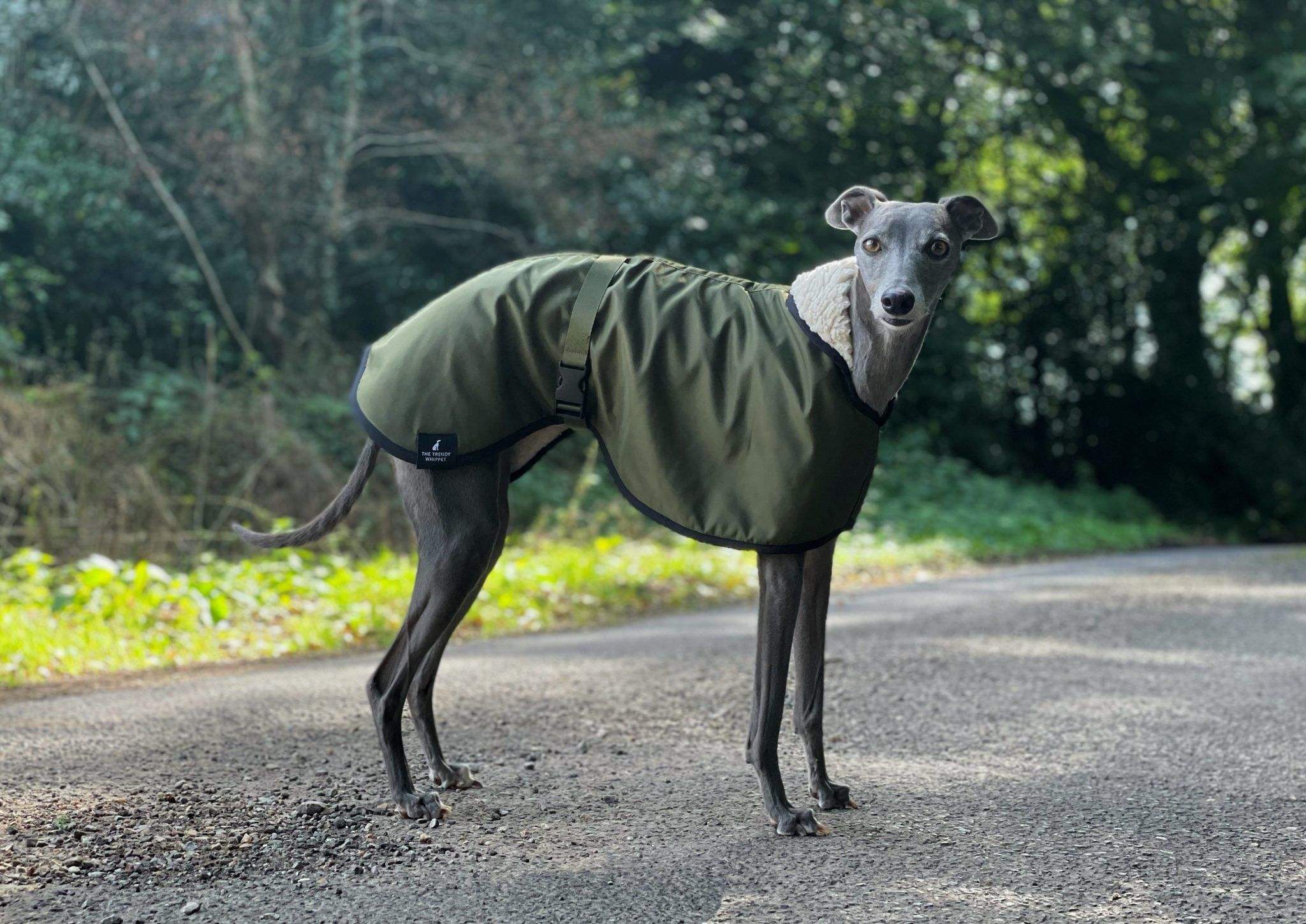 Olive Green Waterproof Fleece Whippet Greyhound Coat | Lurcher