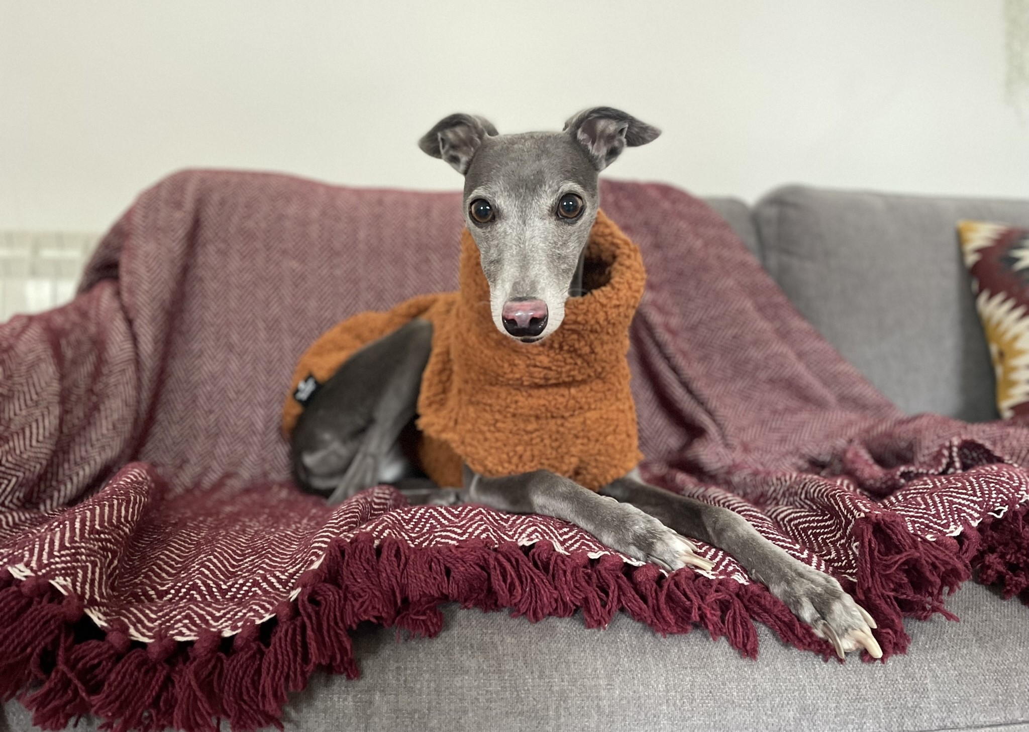Brown Fluffy Whippet Vest Jumper | Greyhound Italian Lurcher