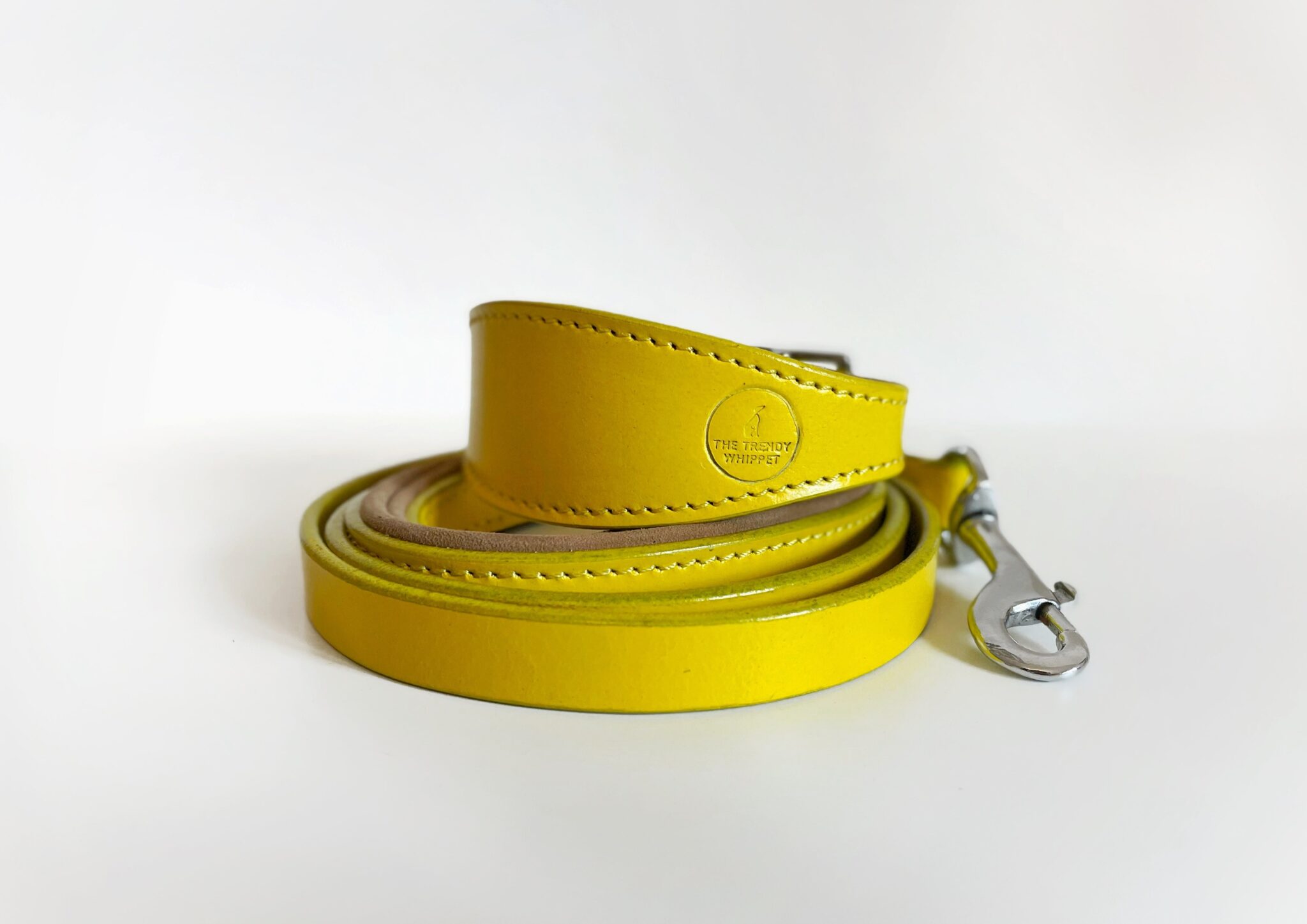 Yellow Leather Wide Whippet Greyhound Collar | Italian Lurcher