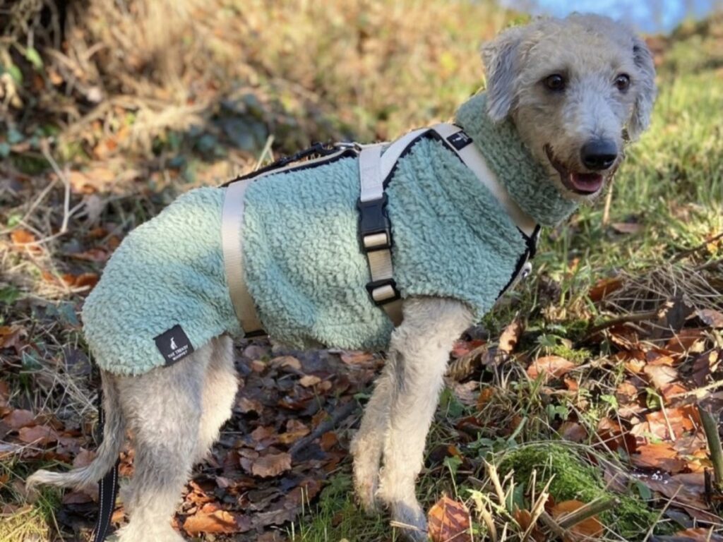 Sage Fluffy Whippet Vest Jumper | Greyhound Italian Lurcher
