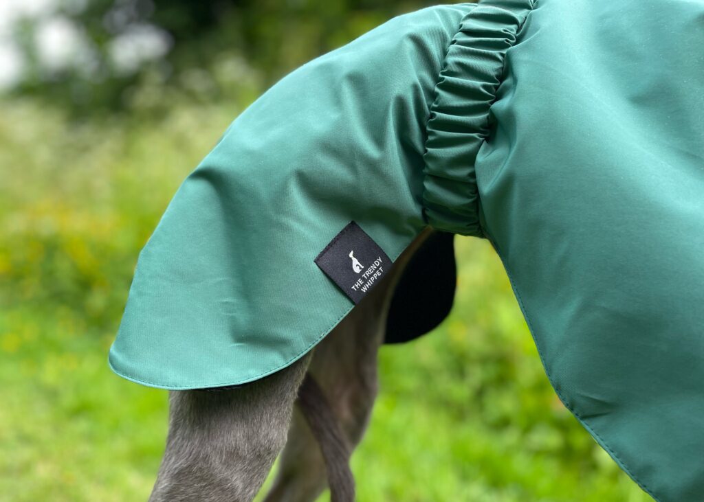 Green Whippet & Greyhound Rain Mac | The Trendy Whippet