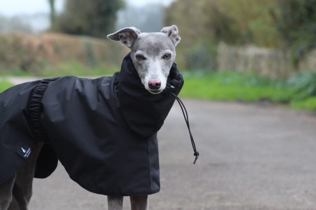 Black Waterproof Whippet Rain Mac Coat | The Trendy Whippet
