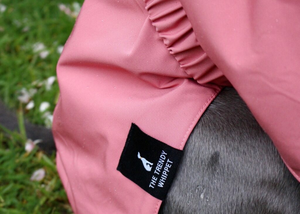 Pink Rain Mac for Whippets & Greyhounds | The Trendy Whippet